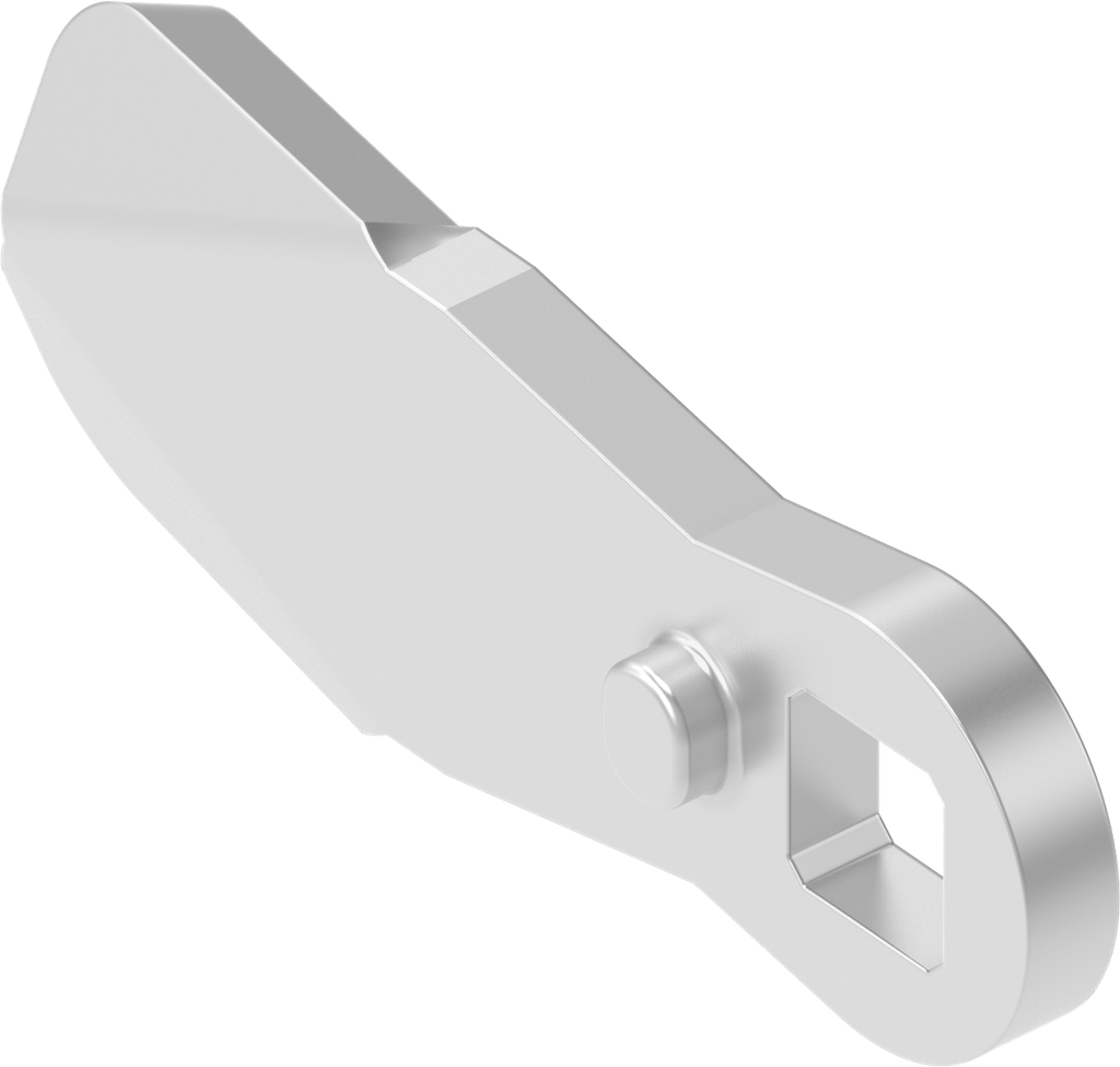 Cam, Stainless steel AISI 304; 1000-227 Offset h = 0 mm